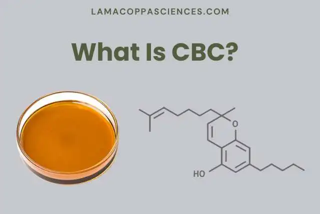 CBC Cannabinoid:Explore Its' Unique Benefits And Effect